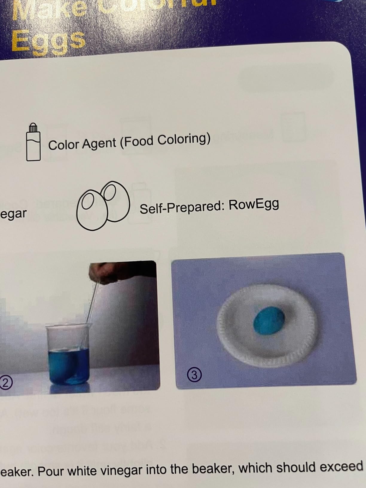 Amazon.com: Science Experiments Kits for Kids Toys: FunforFun! 120+ Lab ...