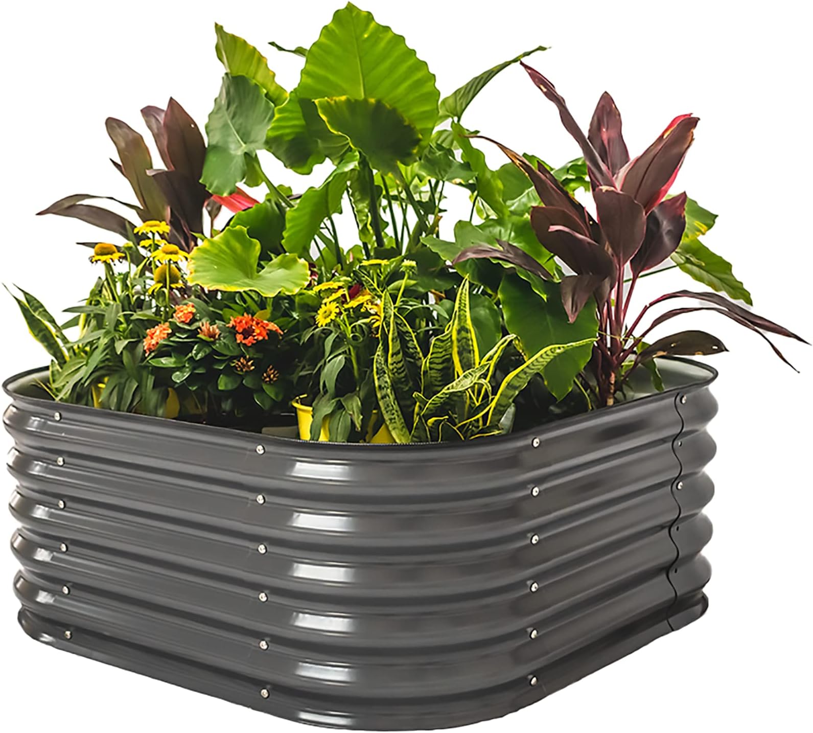 Amazon.com: UMIGARDEN Raised Garden Bed, Galvanized Fence Vegetable ...