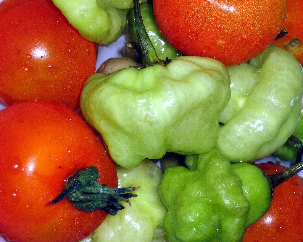 Buy Sweet Chili Pepper, mild aji Cubano Dulce Cachucha Spanish Dishes ...