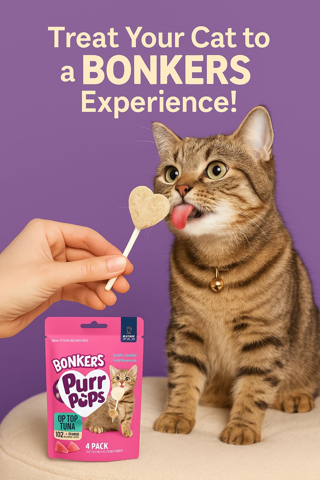 Crunchy Soft Cat Snacks Bonkers Cat Treats Value Pack - Seafood Flavor ...