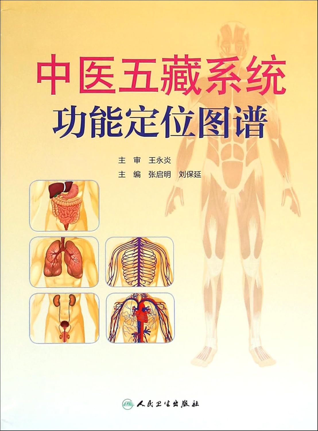 Amazon.com: A Location Map of the System Function of the Five-organs in ...