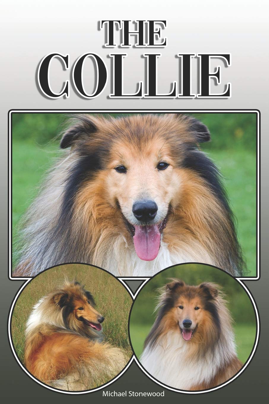 The Collie: A Complete and Comprehensive Owners Guide to: Buying ...