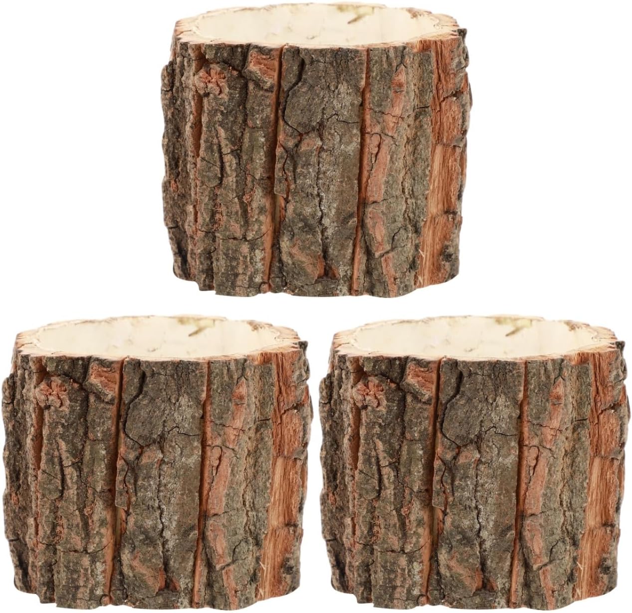 Amazon.com : Homoyoyo Birch Bark Vase and Wooden Plant Pot - Rustic ...