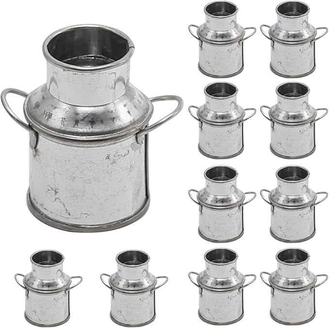 Amazon.com: 10Pcs 2 inch Mini Metal Farmhouse Vase Mini Milk Jugs ...