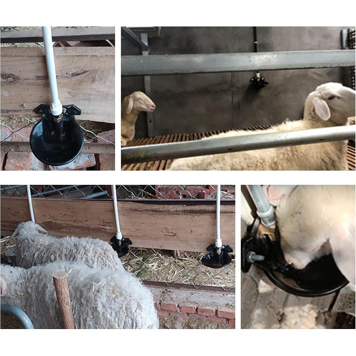 Solimo Goat Waterer Automatic Goat Waterer Bowl With Copper Valve - 1L ...
