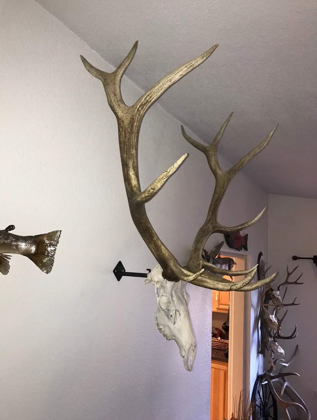 Elk European Mount Stand