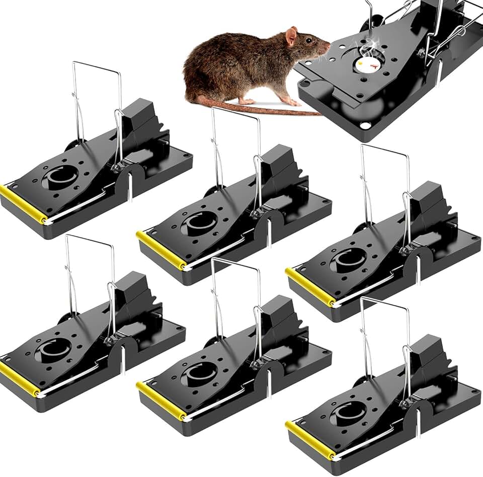 Amazon.co.uk: mouse-trap