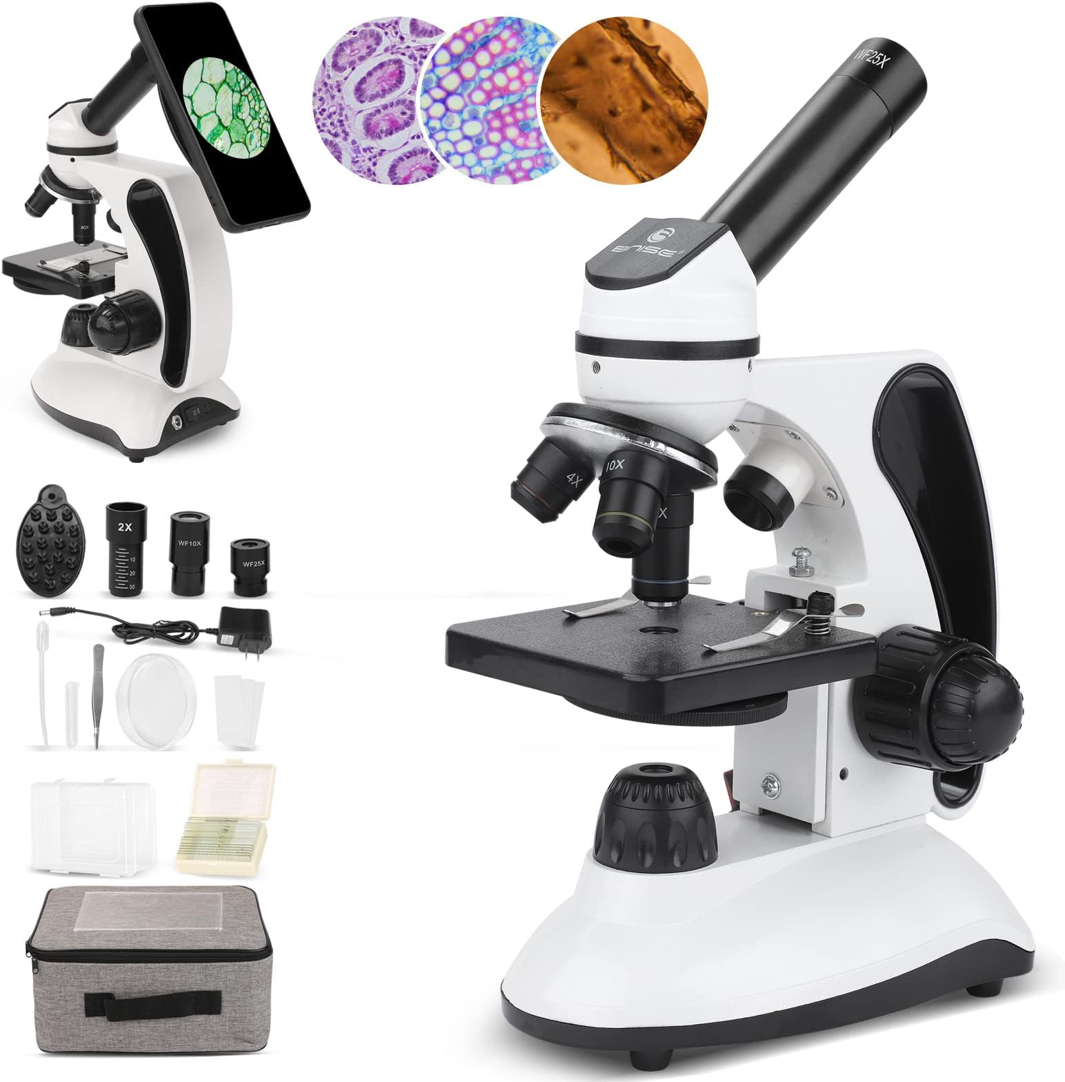 Amazon.com: BNISE Microscope kit for Kids Adults Students, 40X-2000X ...