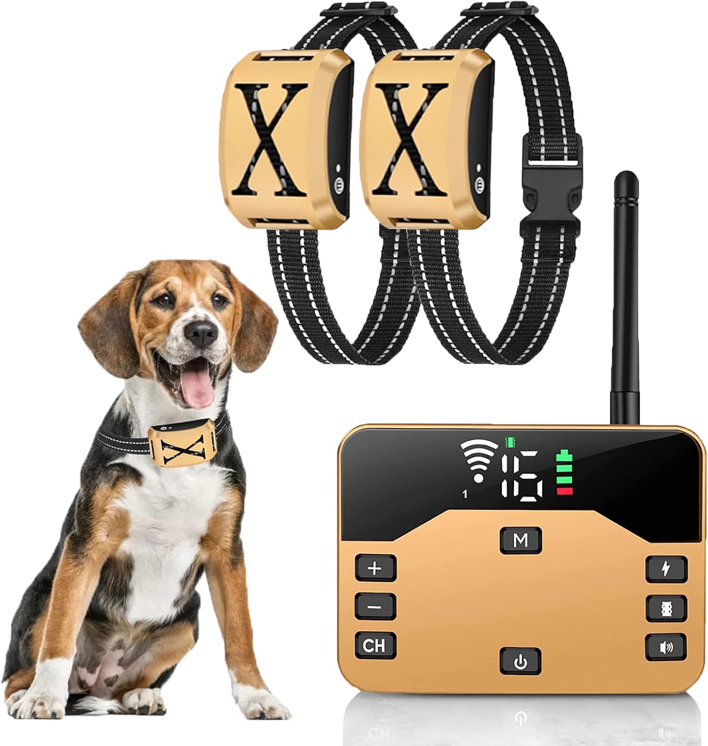Amazon.com : 2 in 1 Wireless Dog Fence, Pet Safe Electric Boundary ...