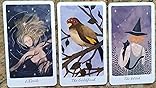 The Harmony Tarot: A deck for growth and healing: Amazon.co.uk: Nice ...