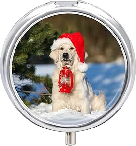 Amazon.com: Cute Metal Round Pill Case, Golden Retriever Dog in Winter ...