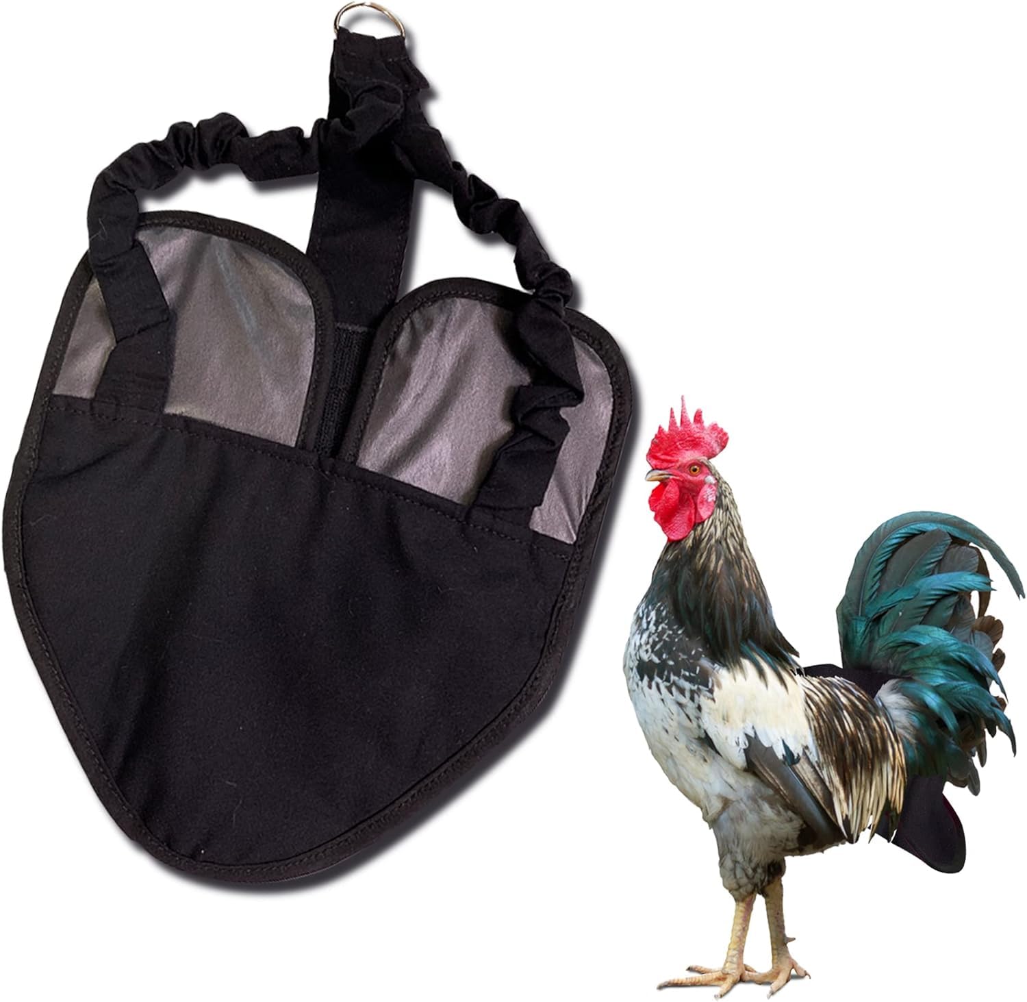 Amazon.com: Bird Diaper, Wrap Around - for Hens, Roosters, Ducks, Leak ...