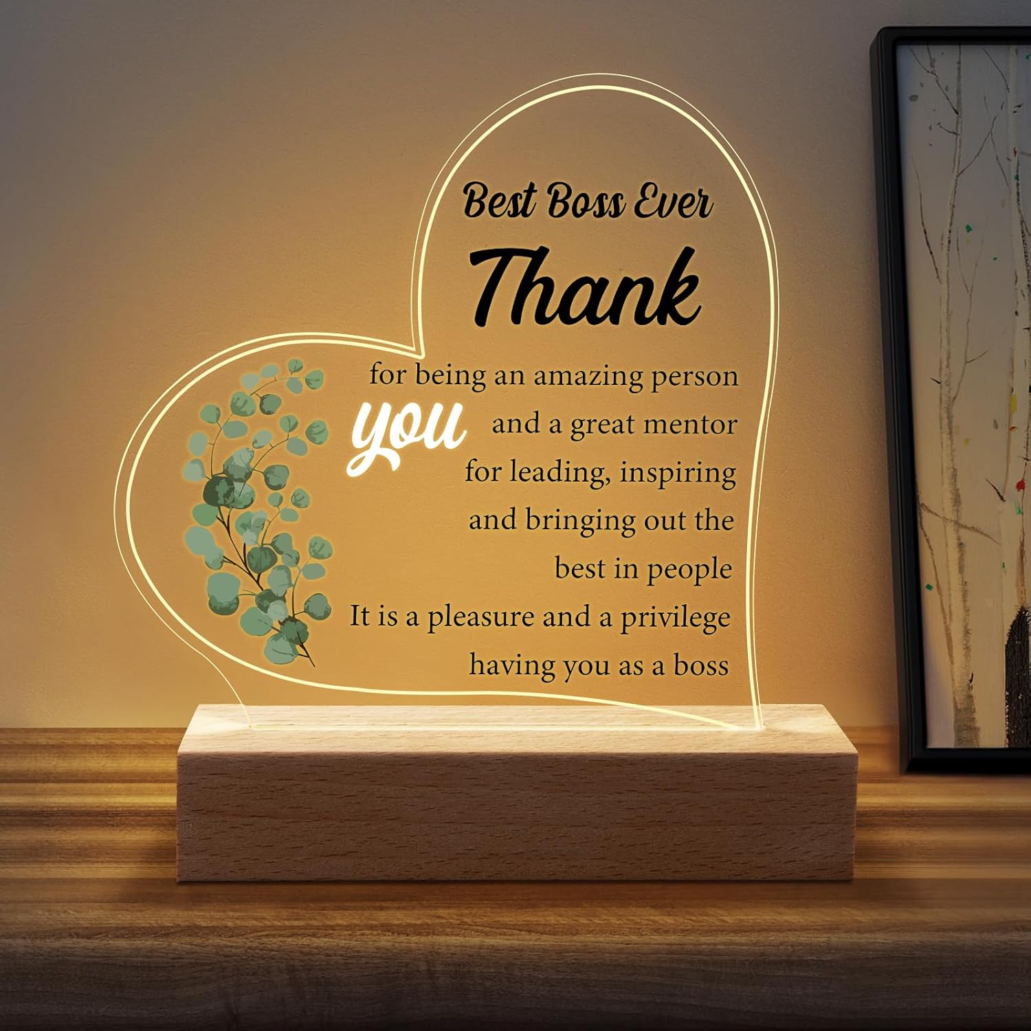 Amazon.com: Boss Gifts for Women Men Acrylic Night Light Thank You ...