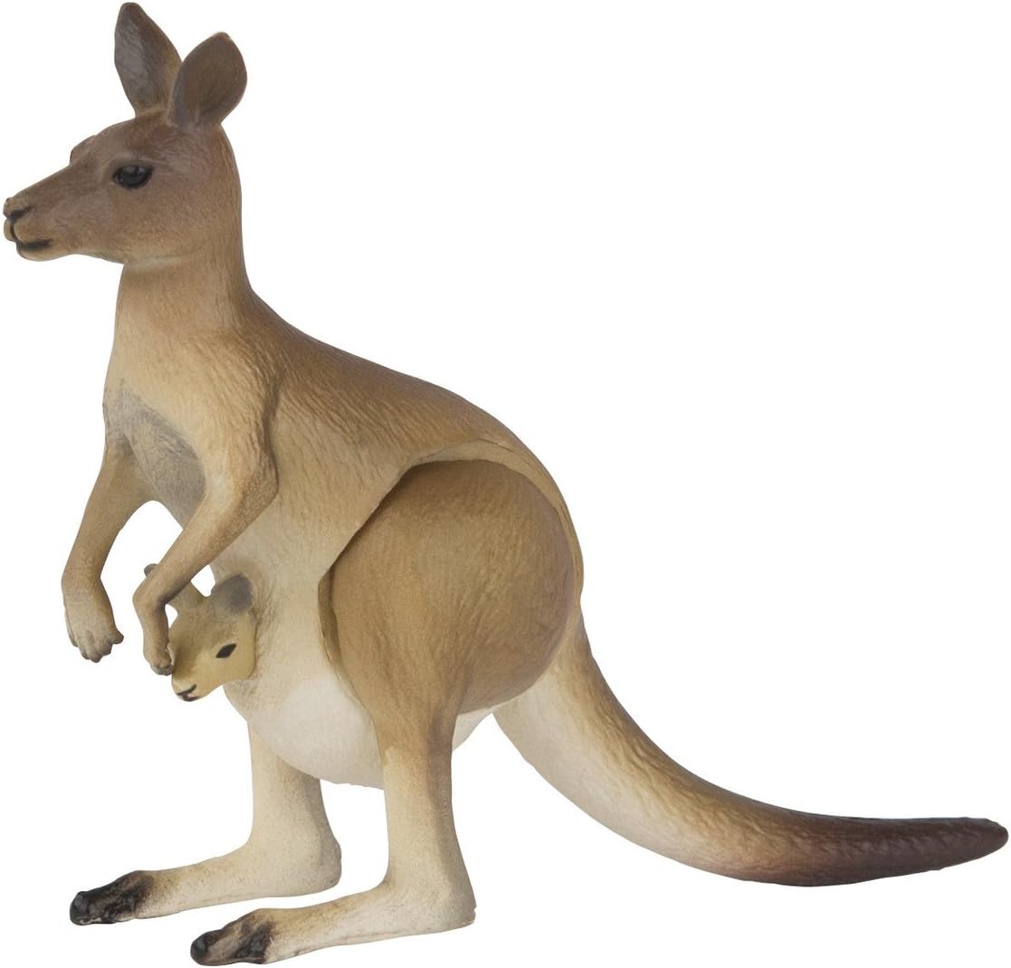 Amazon.com: Ania Animal Pack, Kangaroo : Toys & Games