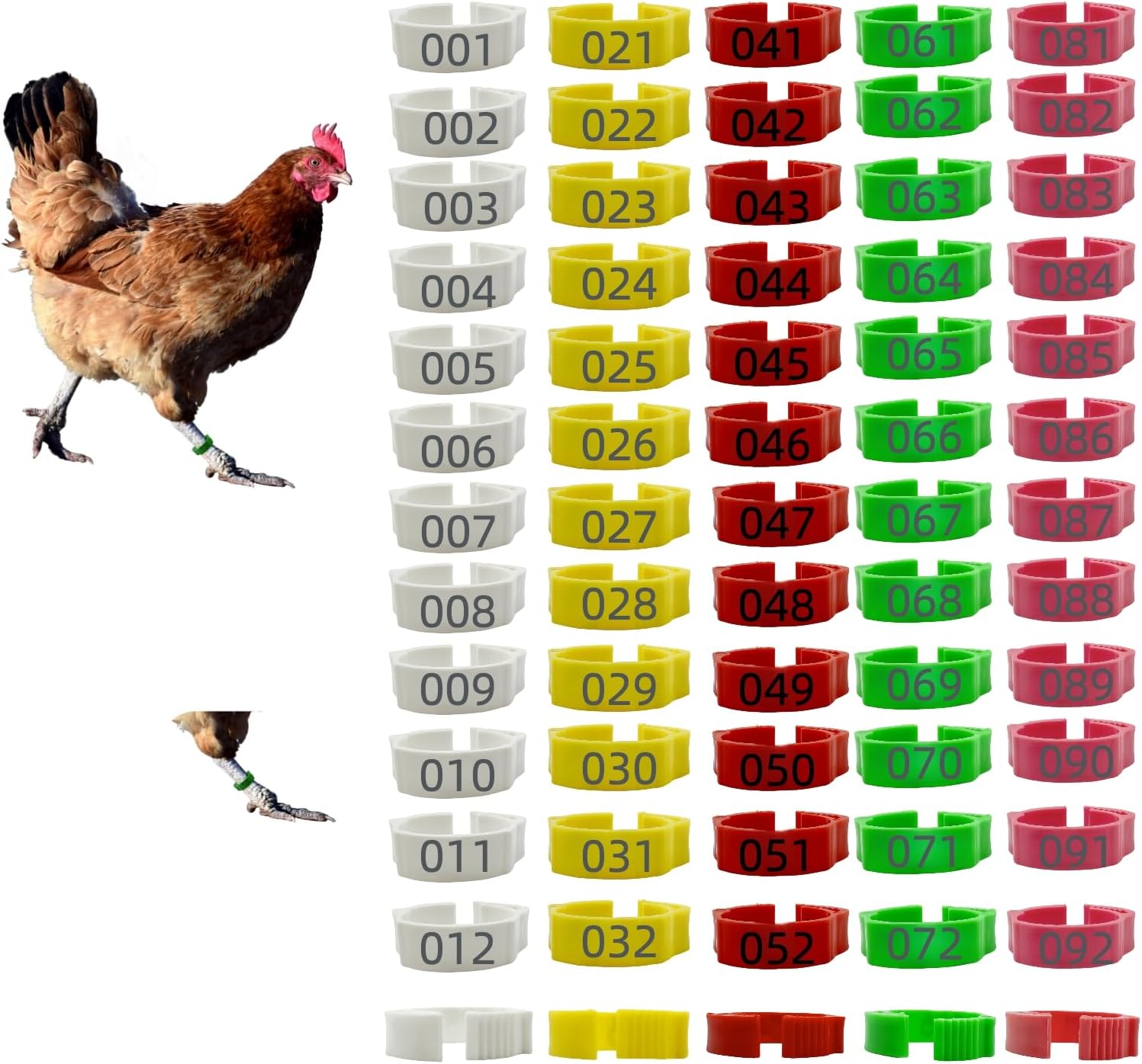 Amazon.com: QurXaKa 17mm-22mm 100 Pcs Chicken Tags for Legs,5 Colors ...