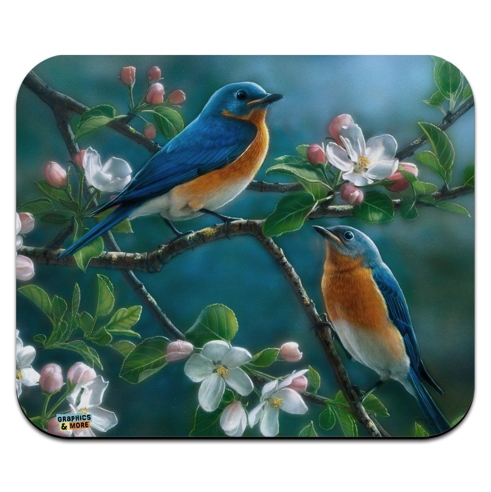 Amazon.com: Eastern Bluebirds Blue Birds Thrush Low Profile Thin Mouse ...
