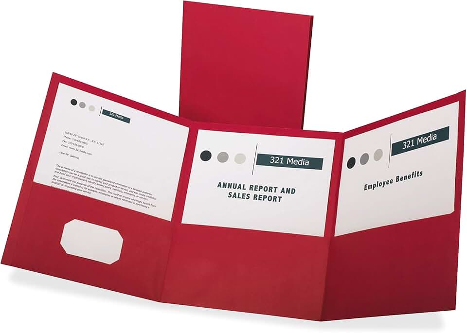 Amazon.com: 3 pocket folder