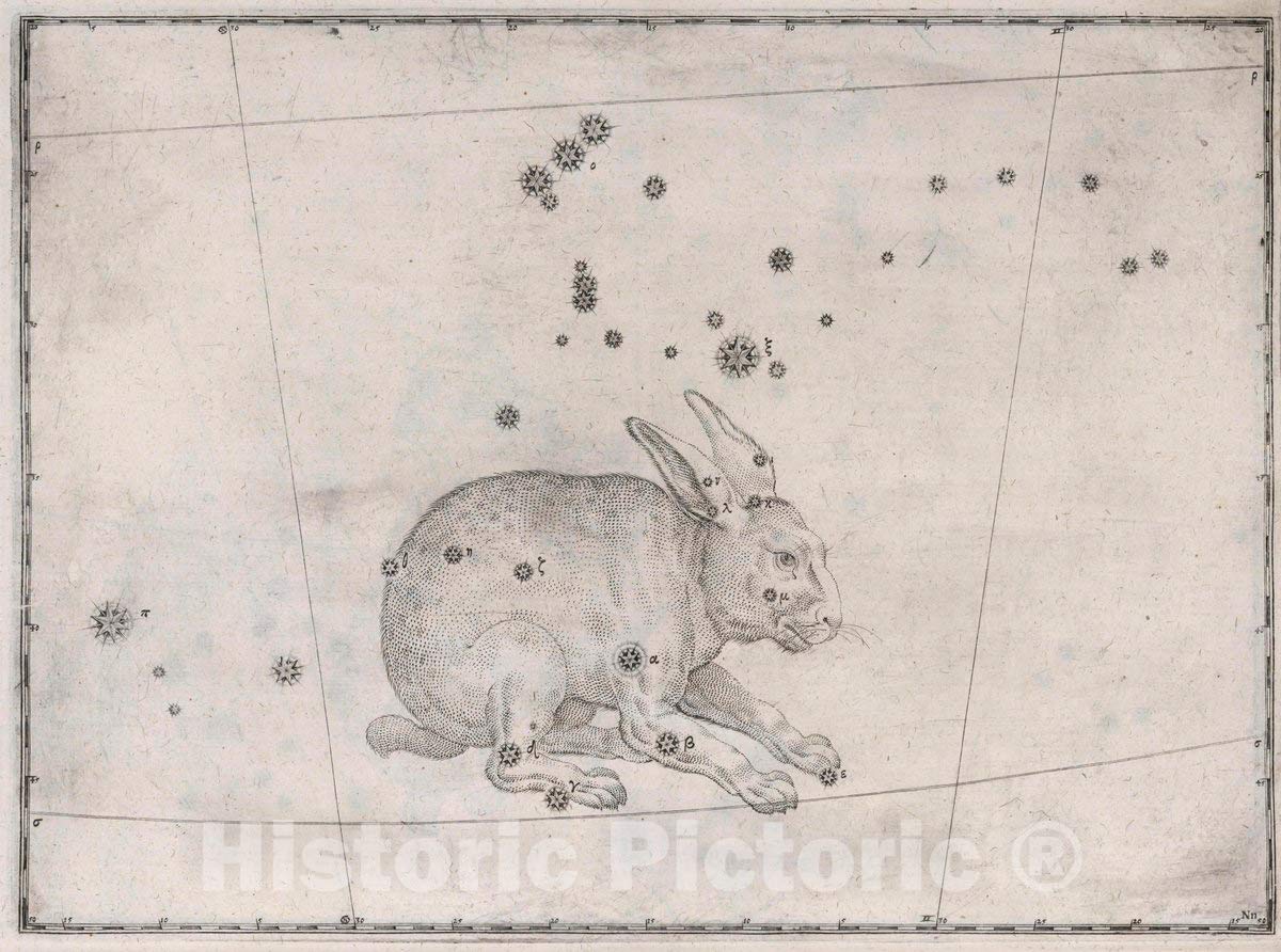 Lepus Constellation Drawing