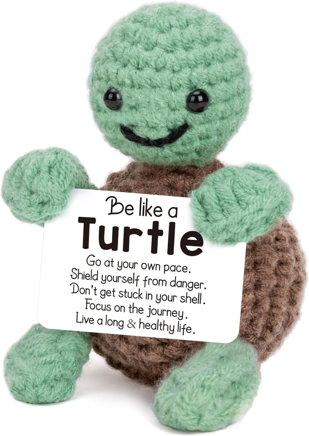 Amazon.com: Positive Turtle Christmas Birthday Gifts for Women Men, Get ...