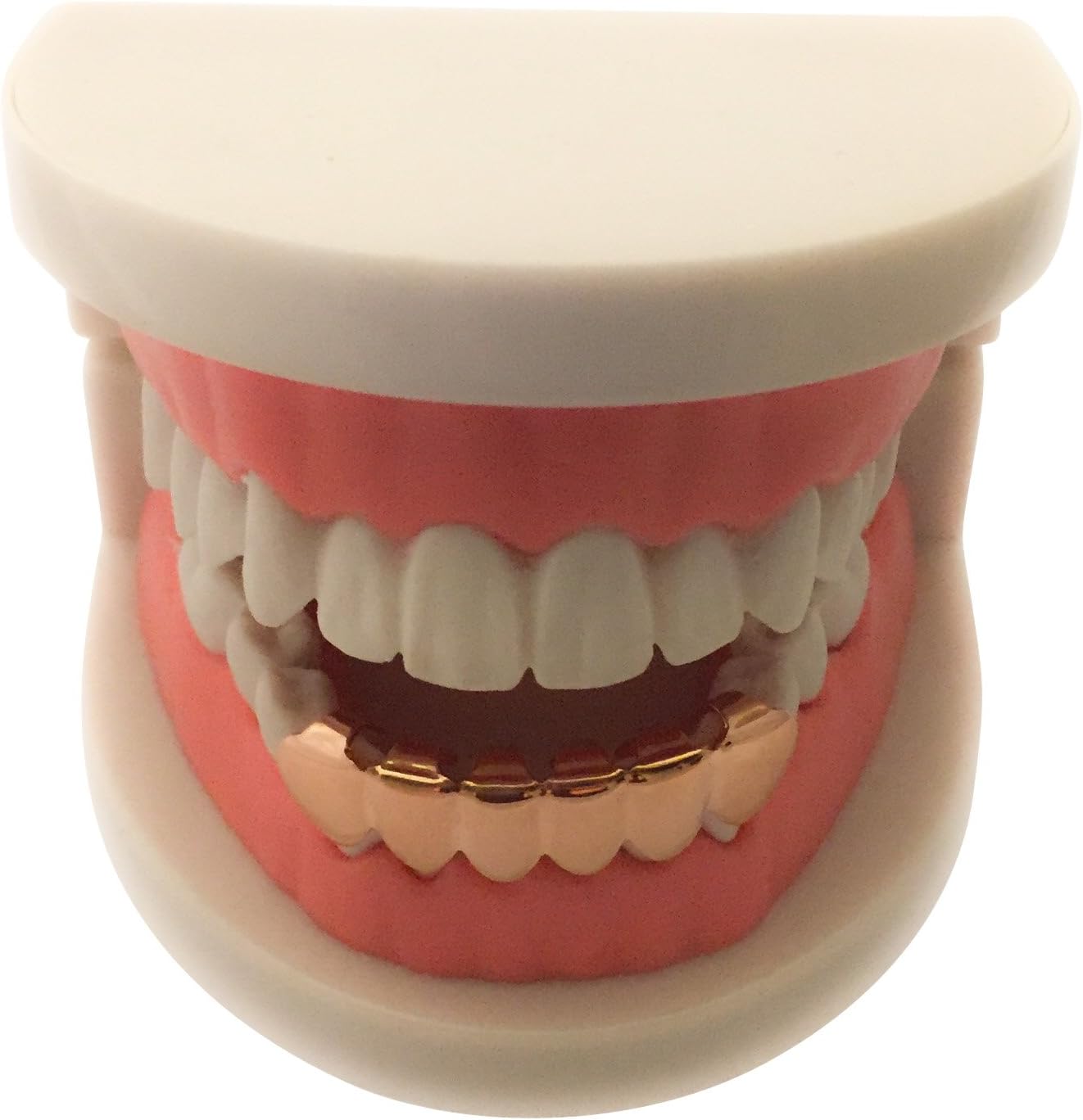 Amazon.com: Big Dawgs Bling Hip Hop 14K Rose Gold GP Lower Teeth Grillz ...