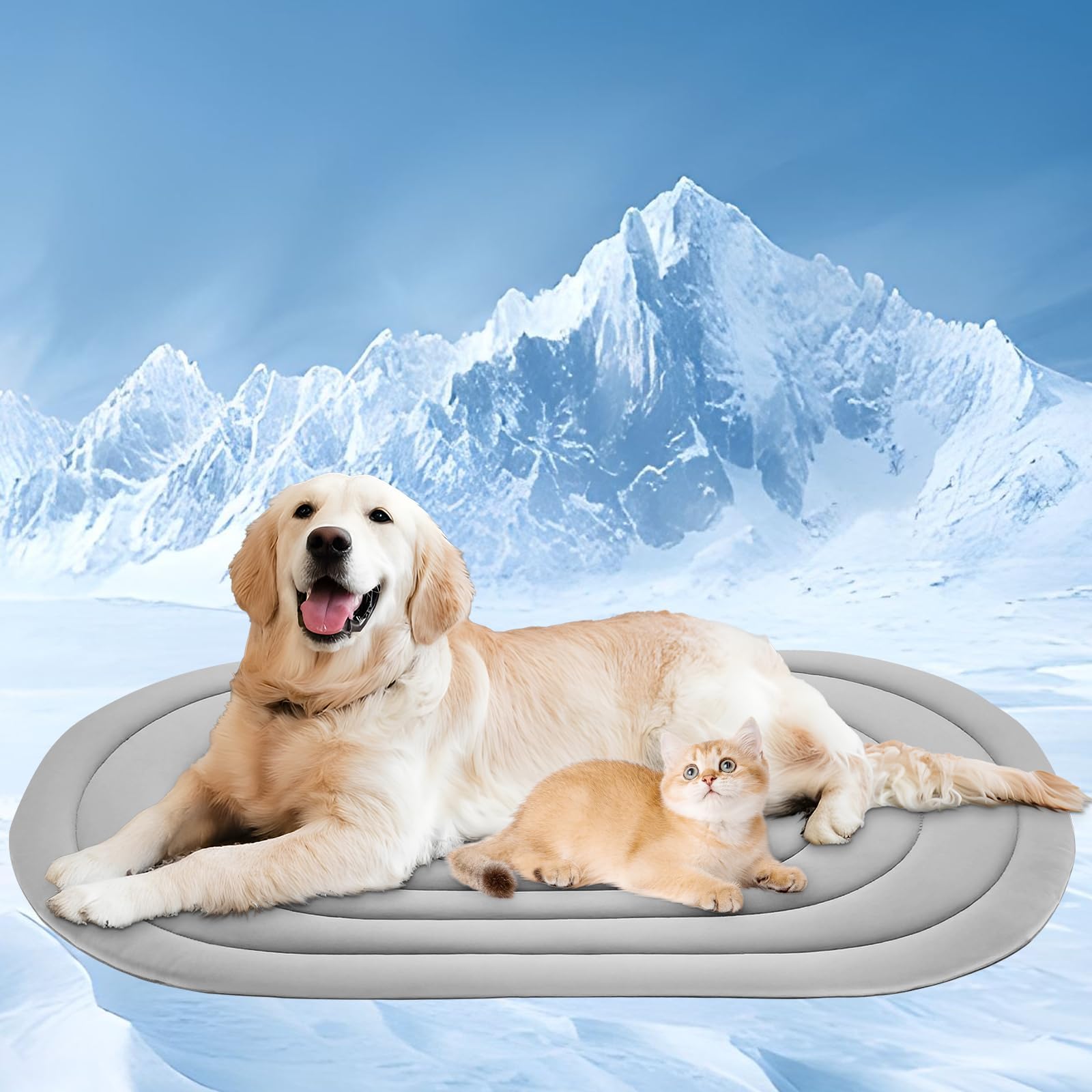 Amazon.com : ASKIZ Dog Cooling Mat, Self-Cooling Pad Reversible(Cool ...