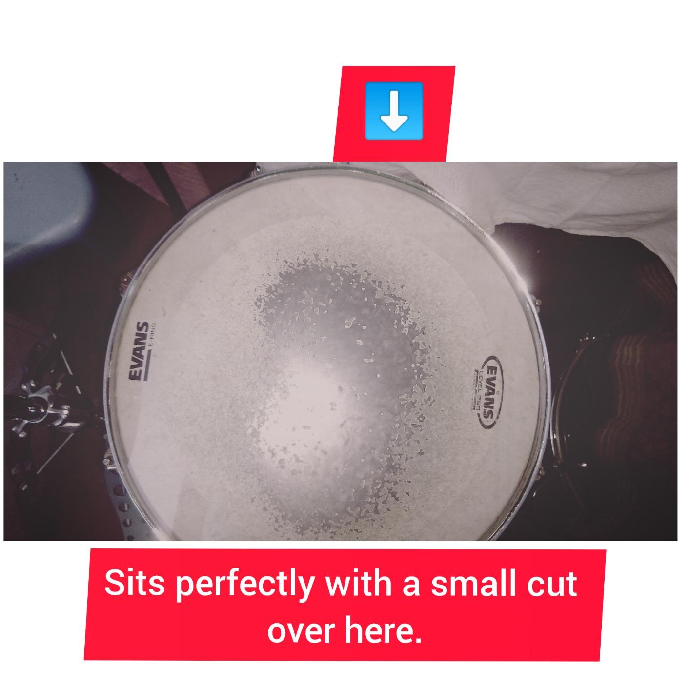 Evans ER-ROCK E-Ring Pack, Rock : Amazon.in: Toys & Games