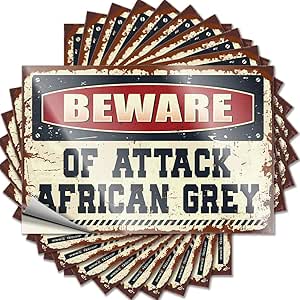 Bumper Stickers Beware of Attack African Grey Funny Sticker 10 Pcs ...