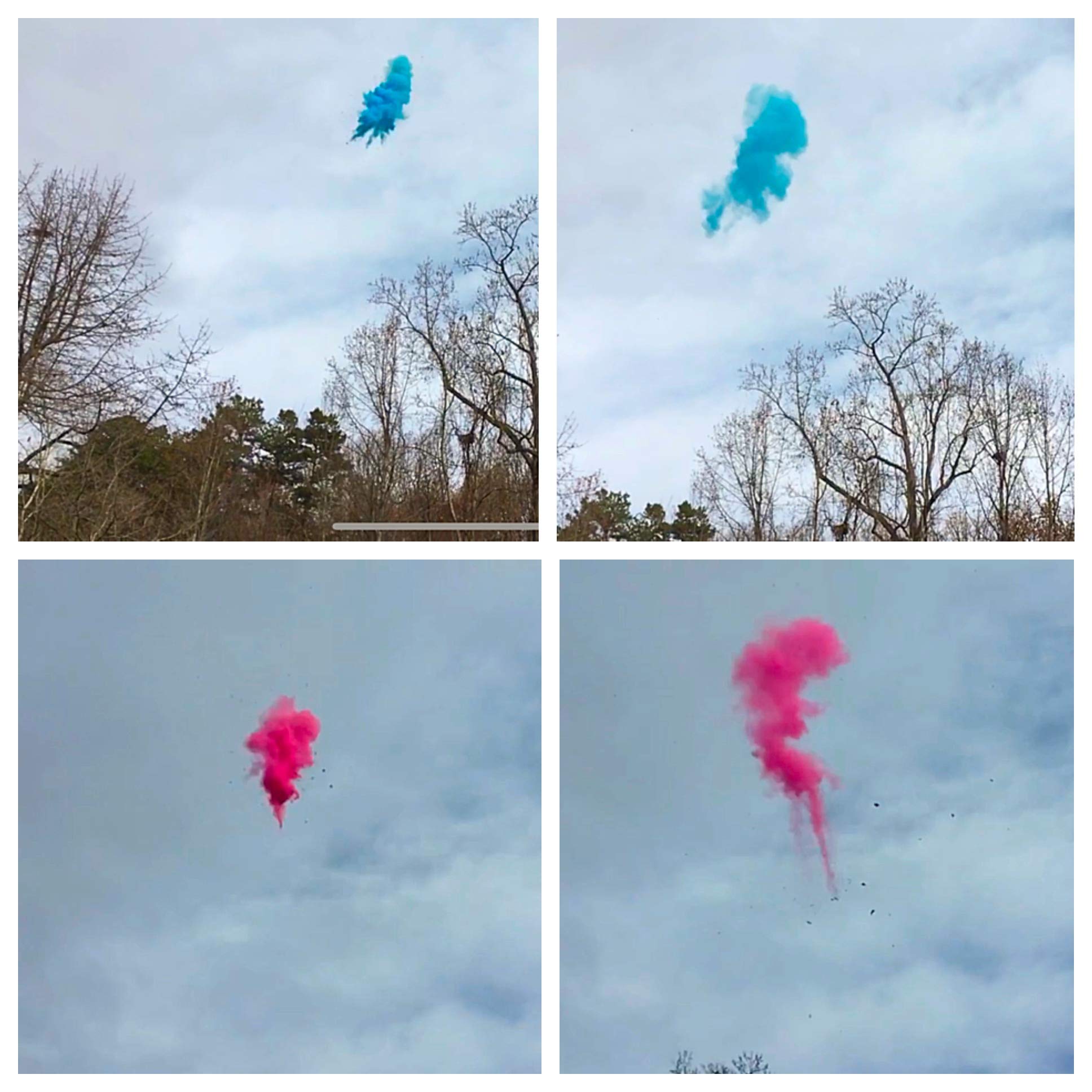The Original Gender Reveal Orange Target Shotgun Exploding Target Balls ...