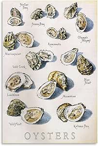 Amazon.com: GIMOKEYS Oysters And Oyster Categories Poster Identifying ...