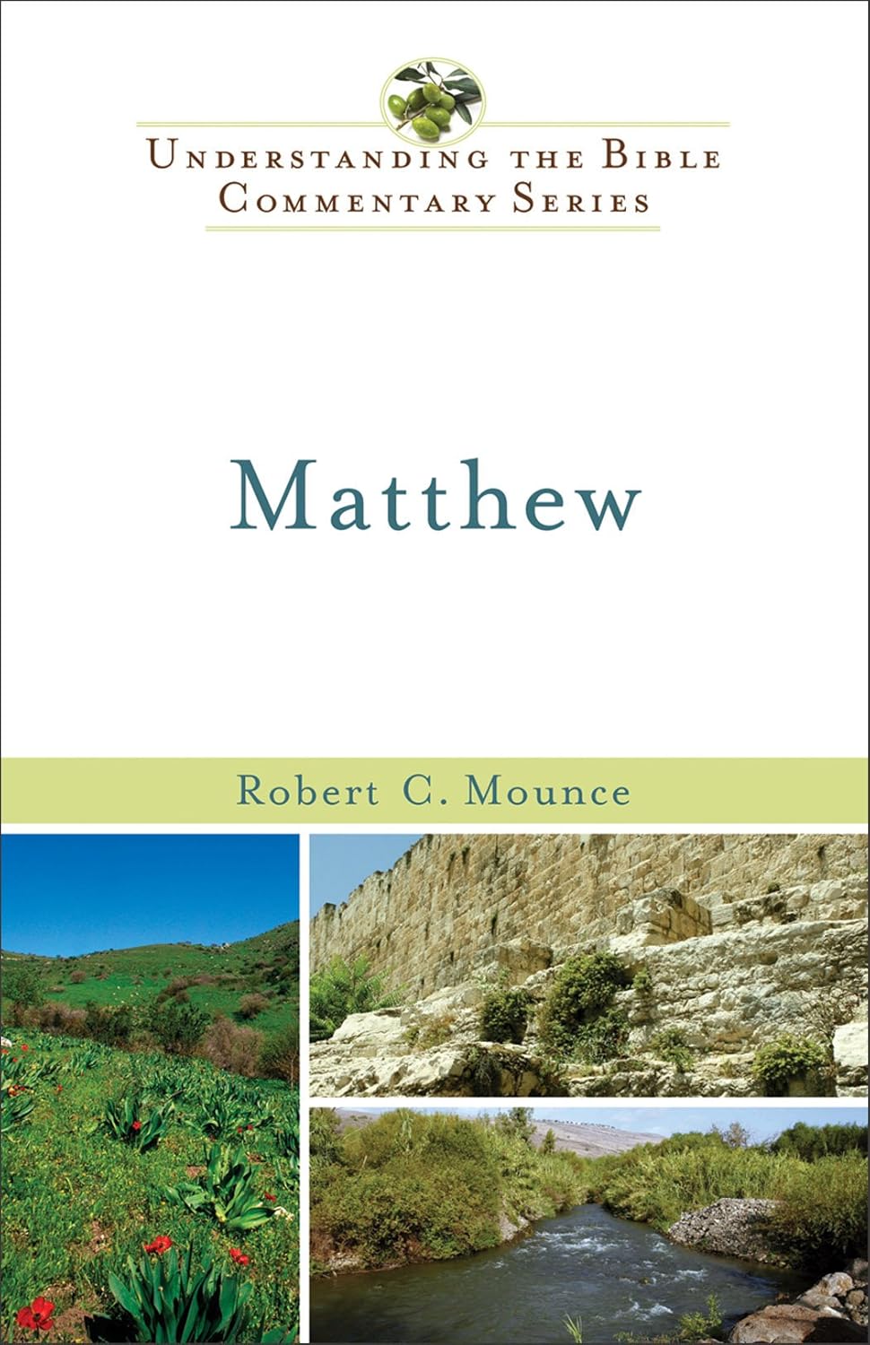 Matthew (Understanding the Bible Commentary Series) - Kindle edition by ...