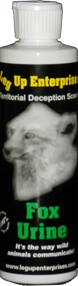 Do Foxes Spray? Unraveling The Mystery Behind Fox Scent Marking | PetShun