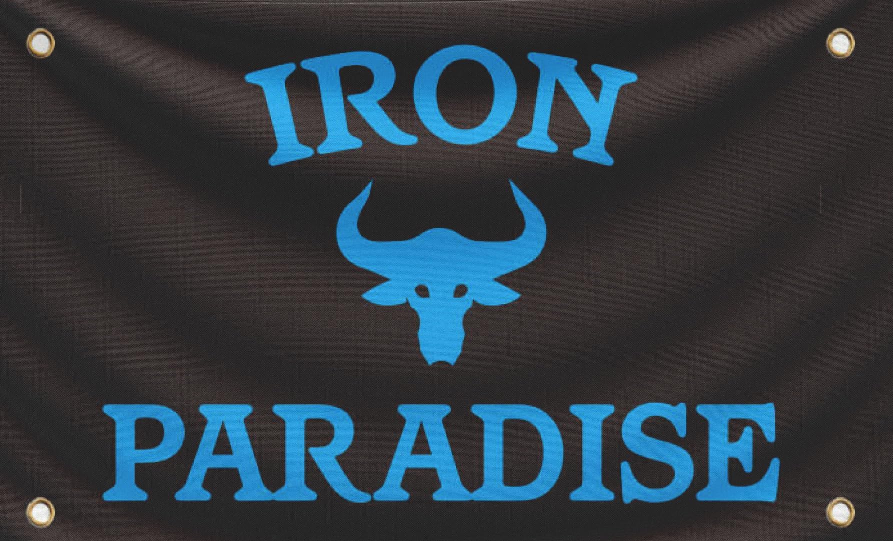 Amazon.com : Flagara 2x8ft Flag Banner Compatible with Rogue Fitness ...