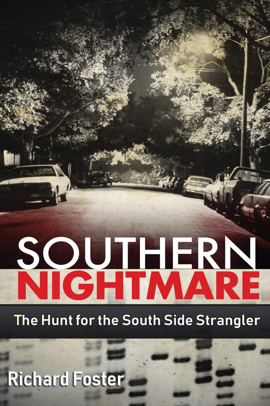 Southern Nightmare: The Hunt for The South Side Strangler: Foster ...