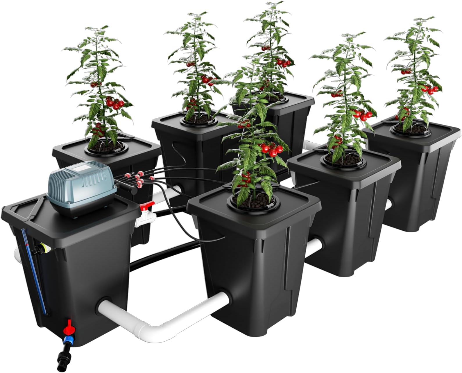 Amazon.com: RDWC Top Feed Drip Hydroponics Systems, Recirculating Deep ...