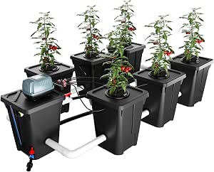 Amazon.com : RDWC Hydroponics Grow System 6 Site + Reservoir, 7-Gallon ...