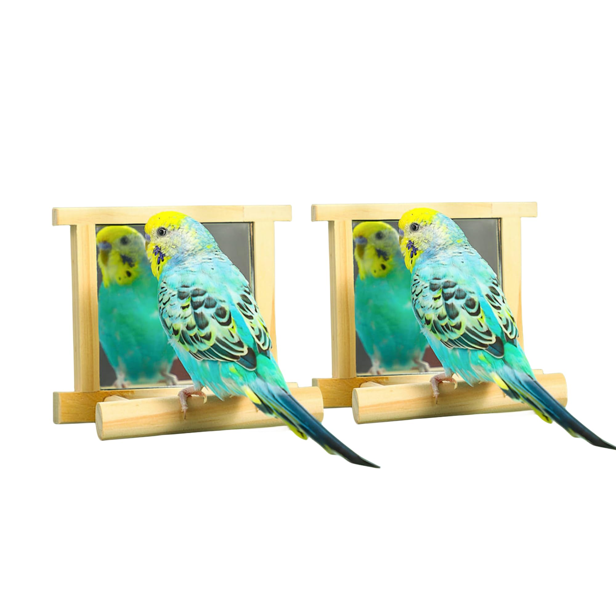 Amazon.com : Natural Wood Bird Stand with Mirror, Perch and Swing Toy ...