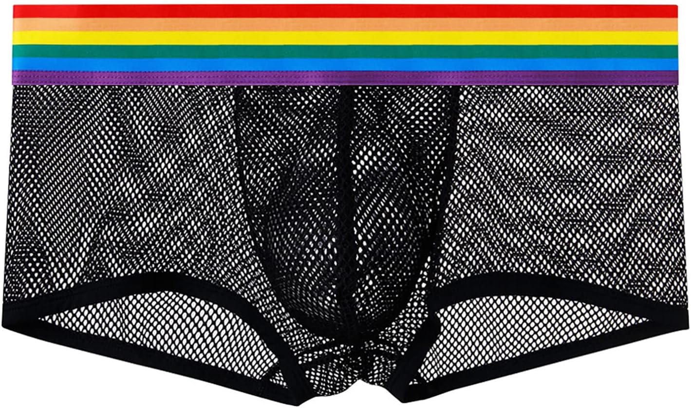 Men's Cotton Jersey Boxer Brief Sheer Mesh Mid-Rise Bikini Brief ...