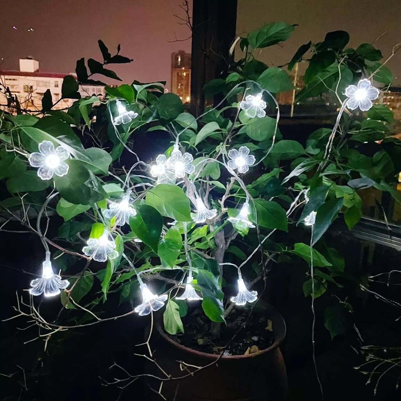 Amazon.com : ibdone Solar LED Flower String Lights, 33FT 10 LED ...