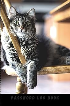 Password Log Book: Internet Login Keeper, Alphabetical Password ...