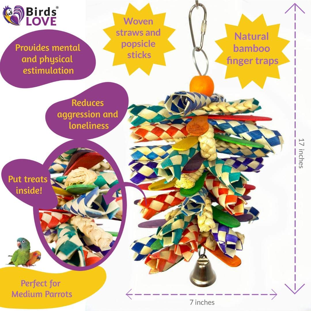 Snapklik.com : Birds LOVE Natural Bamboo Finger Traps & Popsicle Sticks ...
