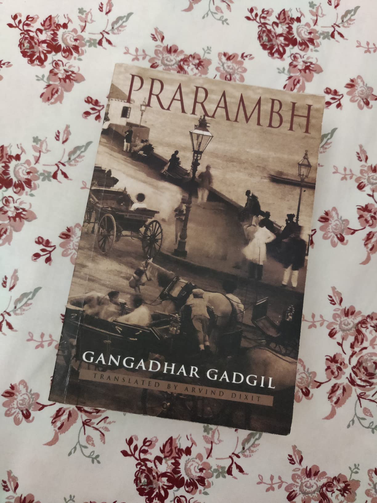 Prarambh The Beginning by Gangadhar Gadgil : Gangadhar Gadgil: Amazon ...
