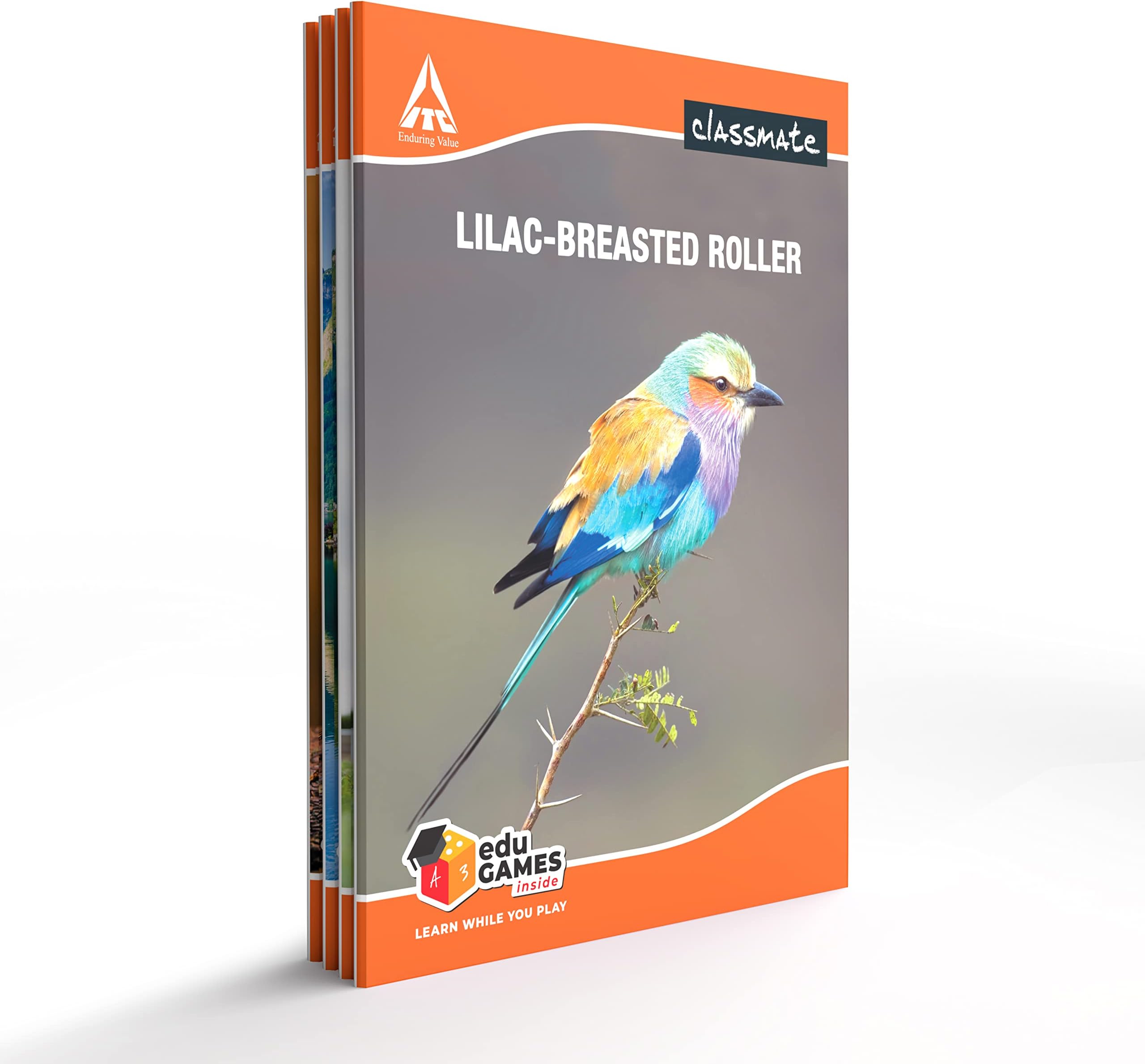 Classmate Notebook - Single Line (172 Pages) : Amazon.in: Office Products