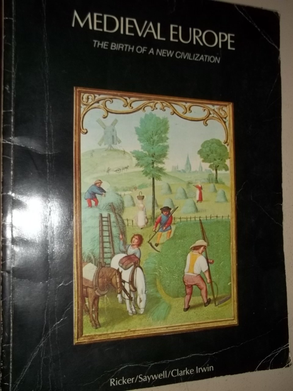 Medieval Europe: The Birth of a New Civilization: Ricker, John & John ...