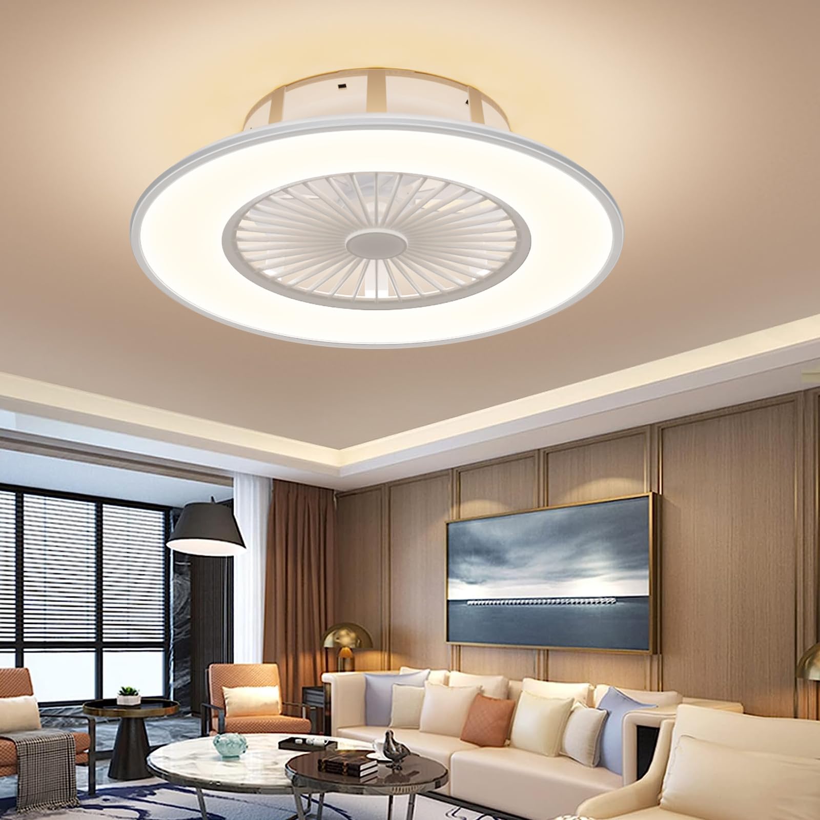 22 Inch Ceiling Fan with Light Remote Control, Bladeless Bedroom ...