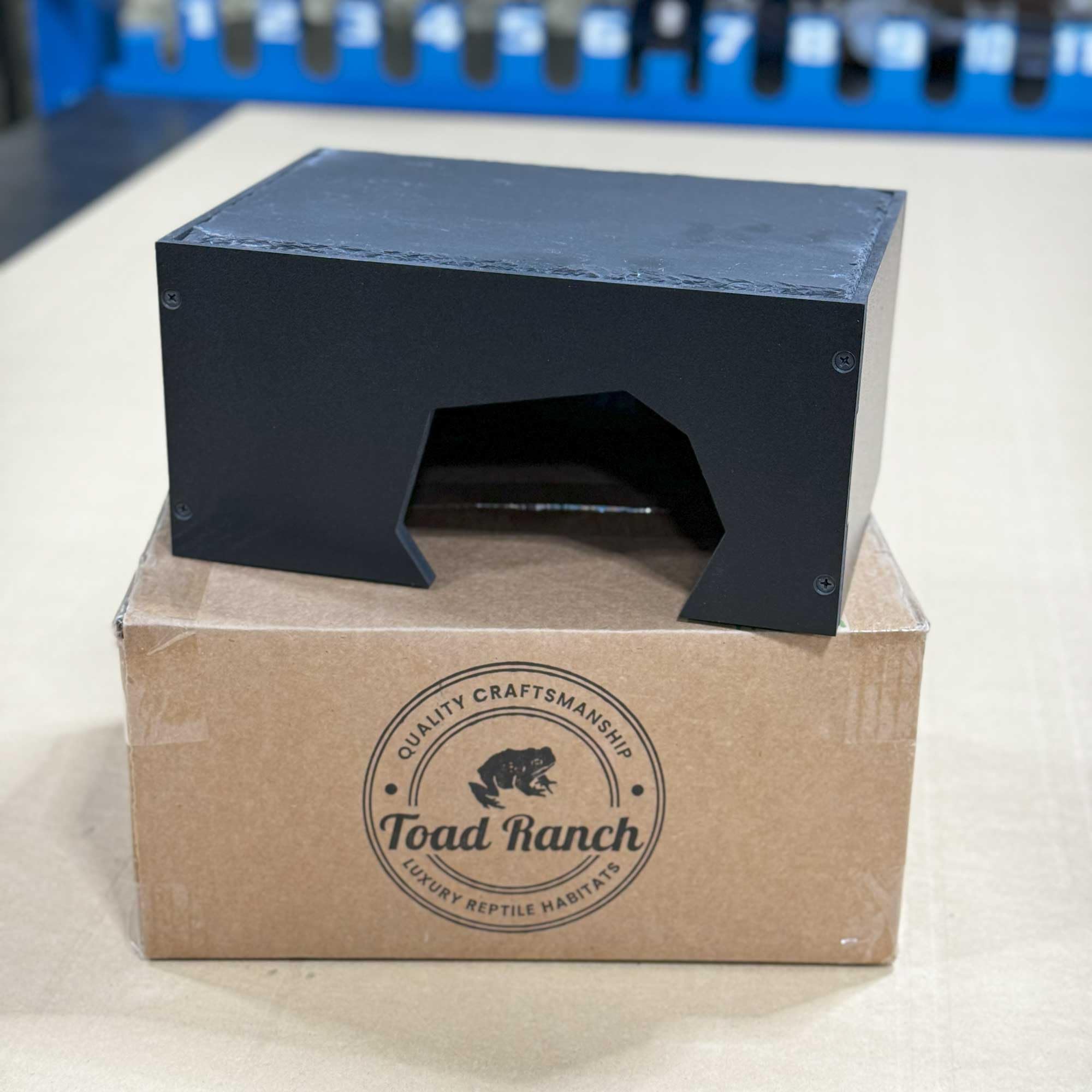 Amazon.com : Bask-N-Hide - Reptile Basking Platform and Hide Box ...