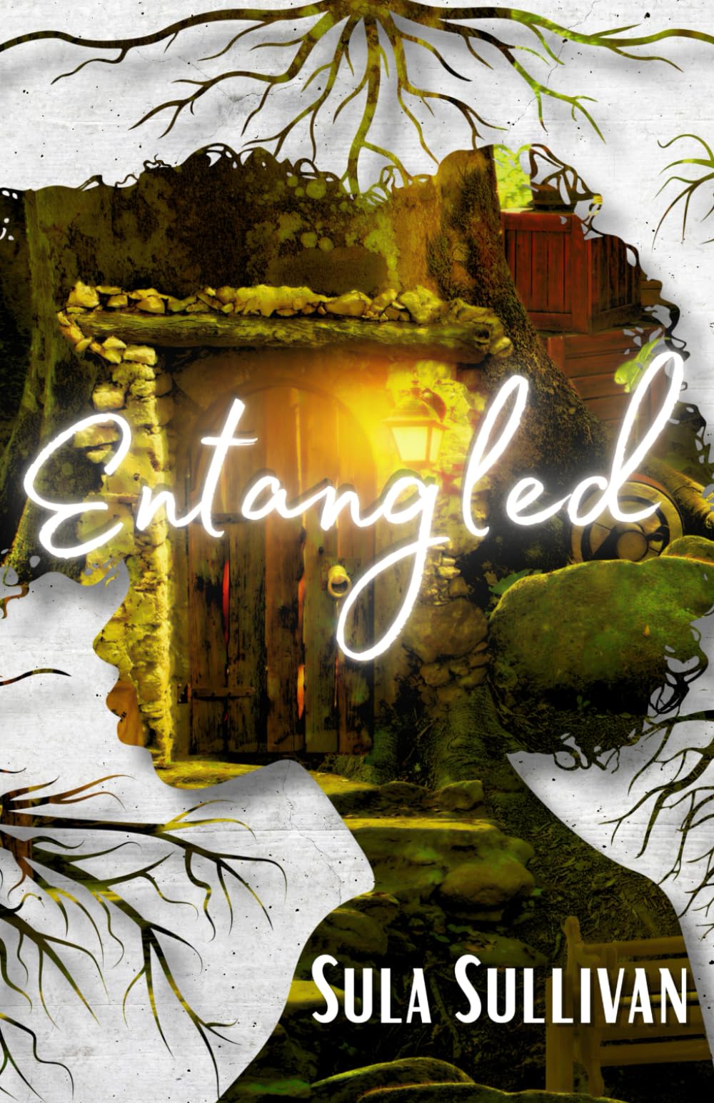 Amazon.com: Entangled: A Cozy Fantasy Rapunzel Retelling: 9798861719742 ...