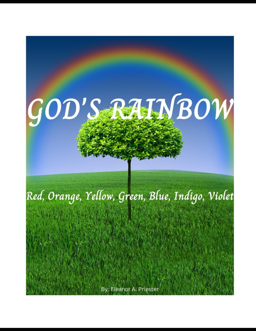 God's Rainbow: Priester, Eleanor Atkinson: 9798853939370: Amazon.com: Books