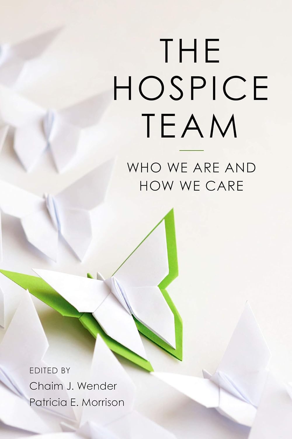Amazon.com: The Hospice Team: Who We Are and How We Care eBook : Wender ...