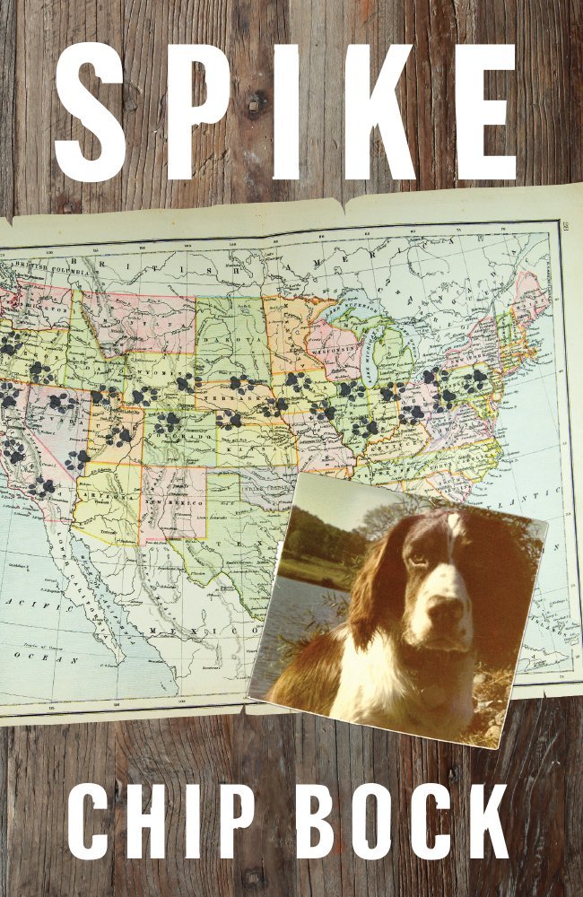 Amazon | Spike (English Edition) [Kindle edition] by Bock, Chip | Genre ...