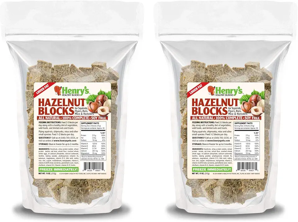 The Secrets Behind Squirrels' Weight Gain And How They Get Fat | PetShun